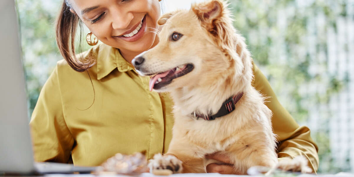 Spaying and Neutering Pets - A Comprehensive Guide